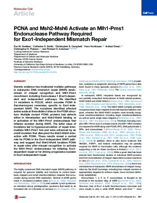 (PDF) PCNA and Msh2-Msh6 Activate an Mlh1-Pms1 Endonuclease Pathway ...