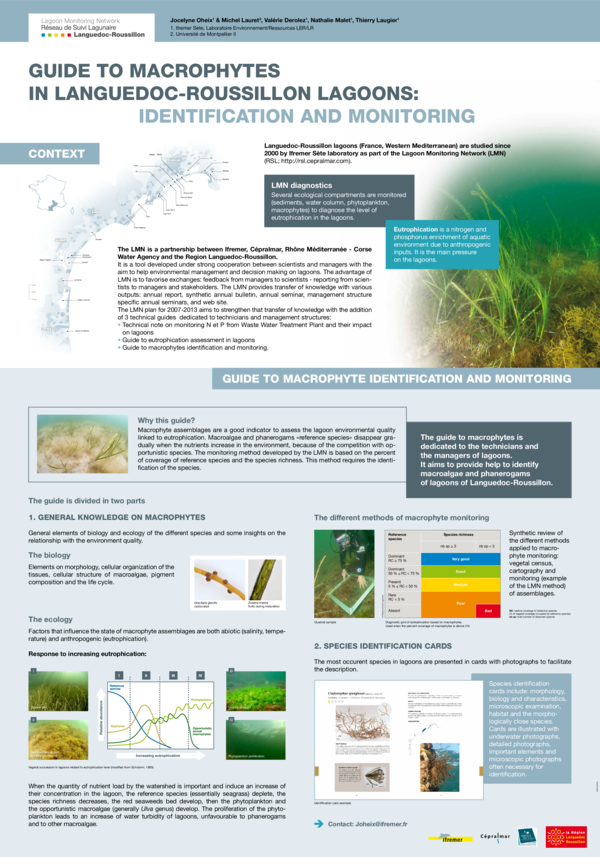 (PDF) Guide to macrophytes in Languedoc-Roussillon lagoons ...