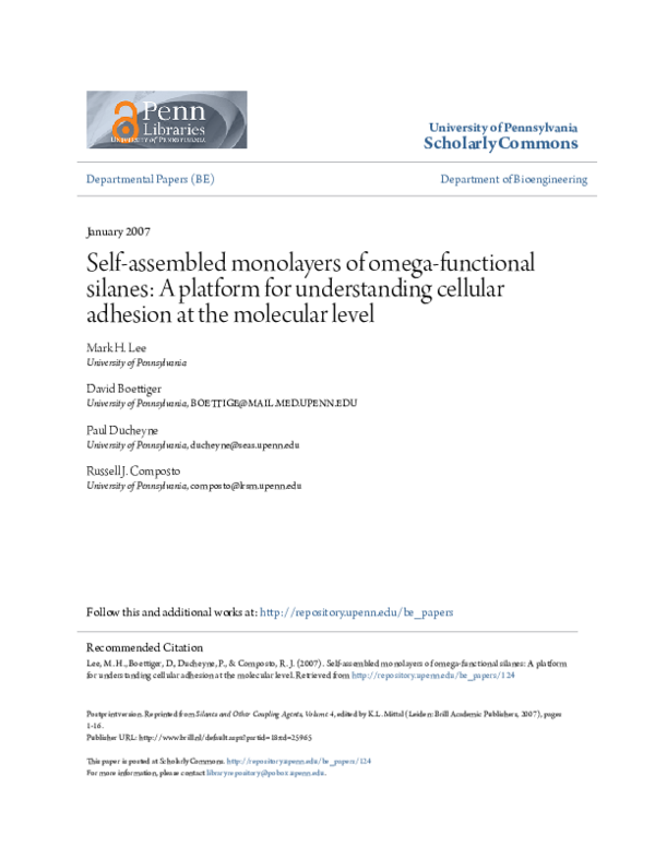 (PDF) Self-Assembled Monolayers Of Omega-Functional Silanes: A Platform For Understanding ...