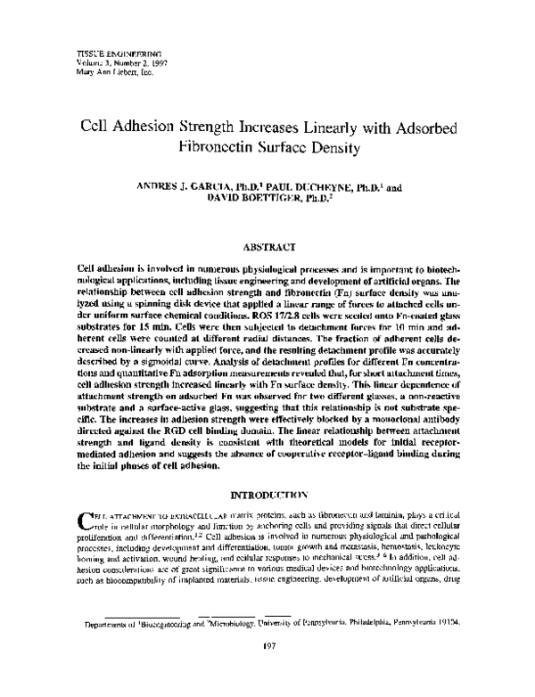 (PDF) Cell Adhesion Strength Increases Linearly with Adsorbed ...