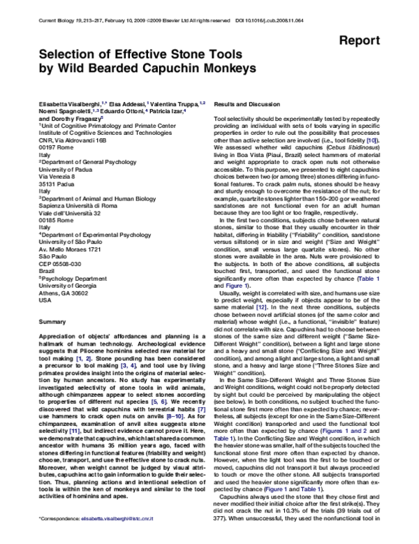 (PDF) Selection of Effective Stone Tools by Wild Bearded Capuchin Monkeys