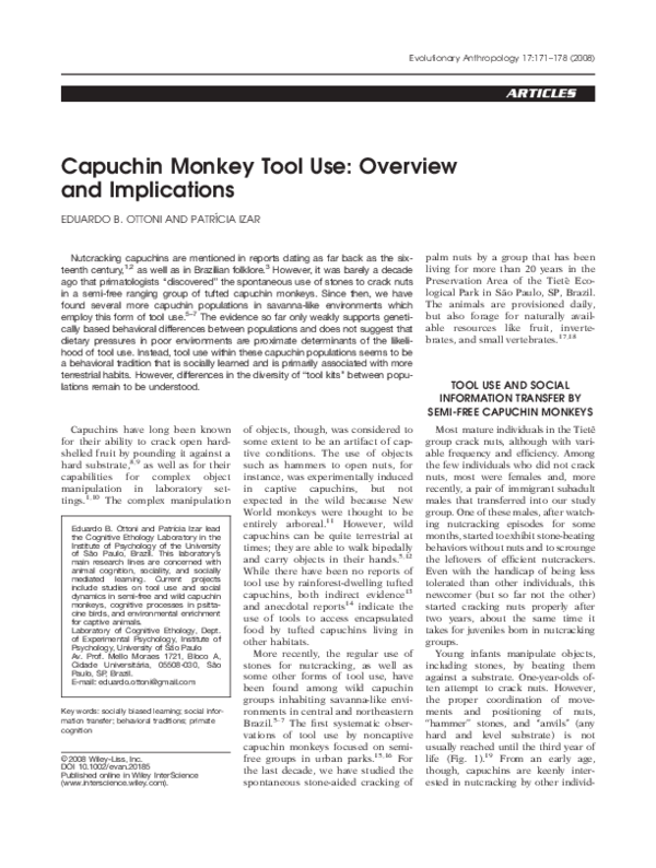 (PDF) Capuchin monkey tool use: Overview and implications