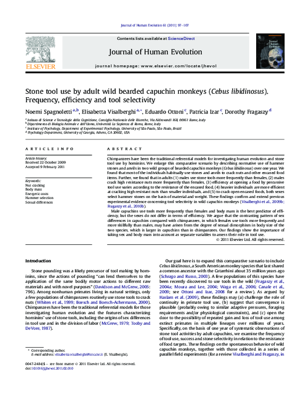 (PDF) Stone tool use by adult wild bearded capuchin monkeys (Cebus ...
