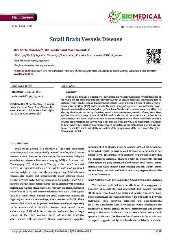 (PDF) Small Brain Vessels Disease