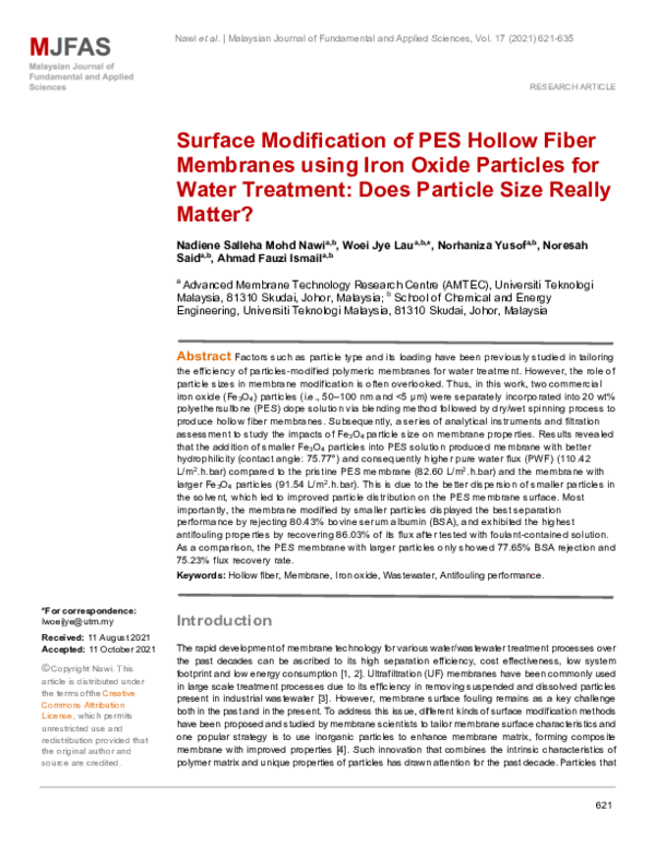 (PDF) Surface Modification of PES Hollow Fiber Membranes using Iron ...
