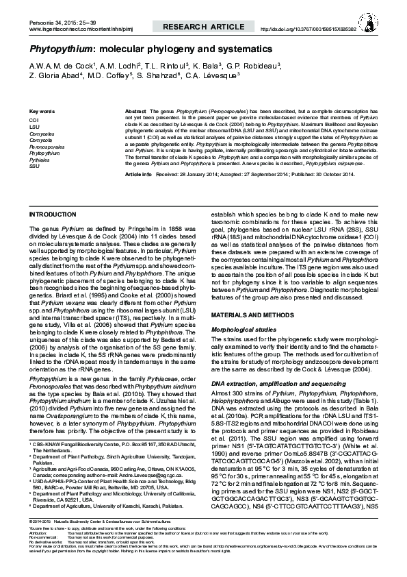 (PDF) Phytopythium: molecular phylogeny and systematics