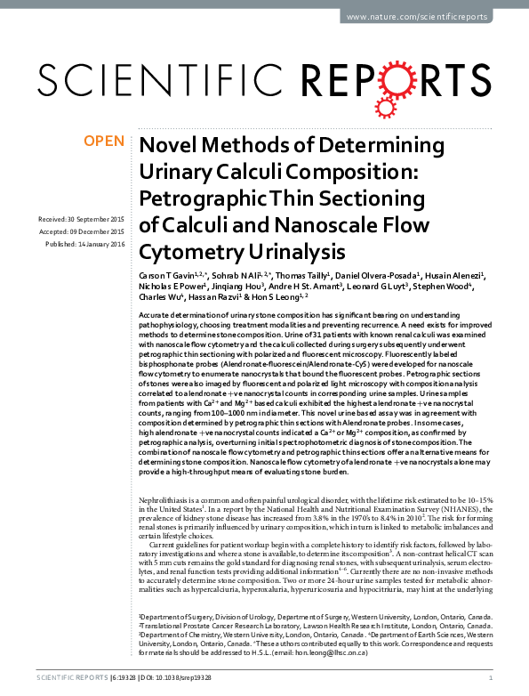 (PDF) Novel Methods of Determining Urinary Calculi Composition ...