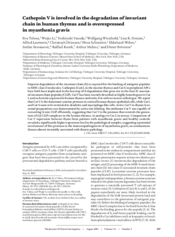 (PDF) Cathepsin V is involved in the degradation of invariant chain in ...