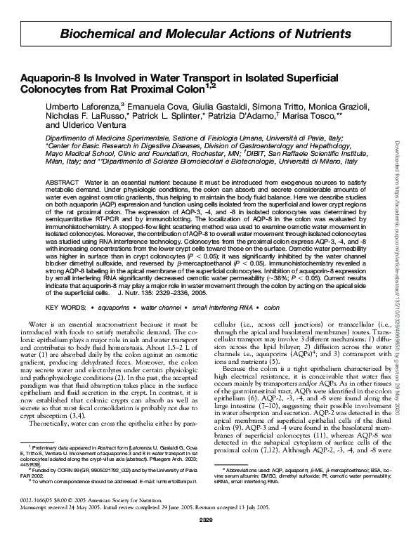 (PDF) Aquaporin-8 Is Involved in Water Transport in Isolated ...
