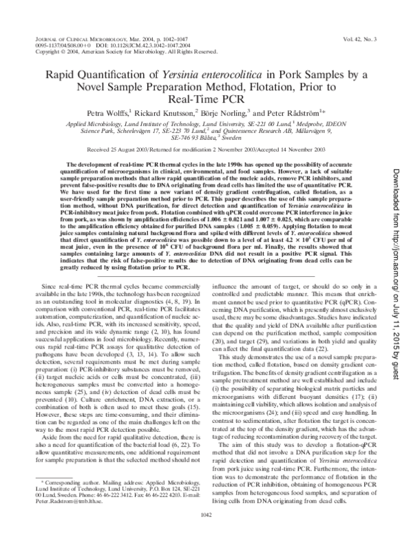 Rapid Quantification of Yersinia enterocolitica in Pork Samples by a ...