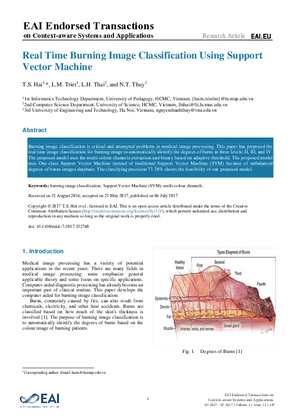 (PDF) Real Time Burning Image Classification Using Support Vector Machine