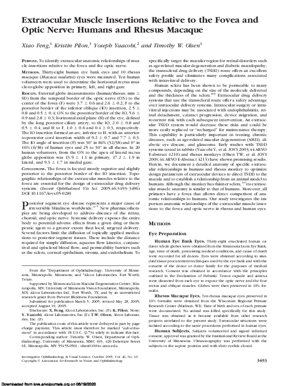 (PDF) Extraocular Muscle Insertions Relative to the Fovea and Optic ...