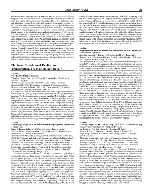 (PDF) Tracking Single RNAP Enzyme Steps and State Transitions During Elongation and Pausing with ...