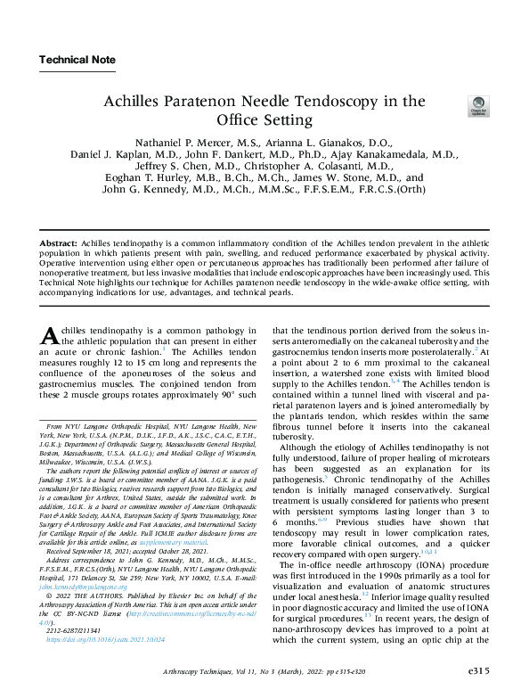 (PDF) Achilles Paratenon Needle Tendoscopy in the Office Setting