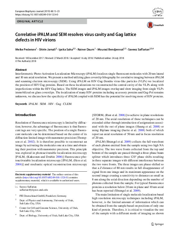 (PDF) Correlative iPALM and SEM resolves virus cavity and Gag lattice ...