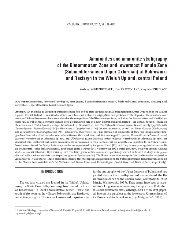 (PDF) Ammonites and ammonite stratigraphy of the Bimammatum Zone and ...