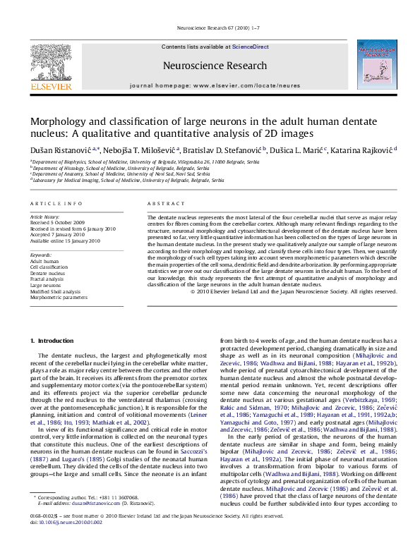 (PDF) Morphology and classification of large neurons in the adult human dentate nucleus: A ...