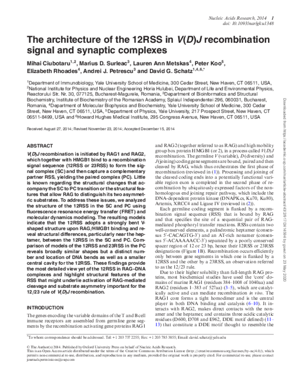 (PDF) The architecture of the 12RSS in V(D)J recombination signal and ...