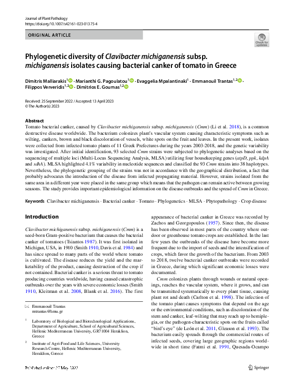 (PDF) Phylogenetic diversity of Clavibacter michiganensis subsp ...