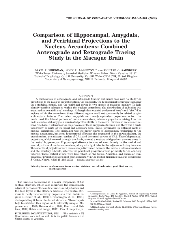 (PDF) Comparison of hippocampal, amygdala, and perirhinal projections to the nucleus accumbens ...