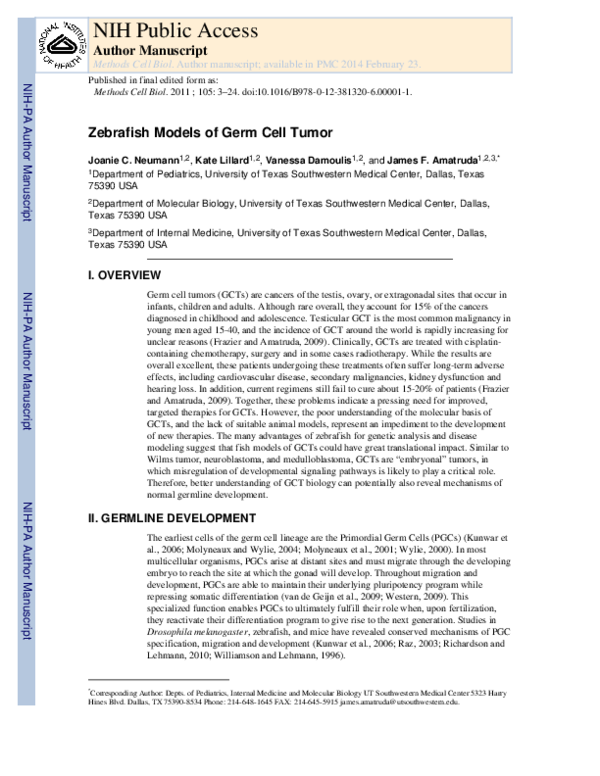 (PDF) Zebrafish Models of Germ Cell Tumor