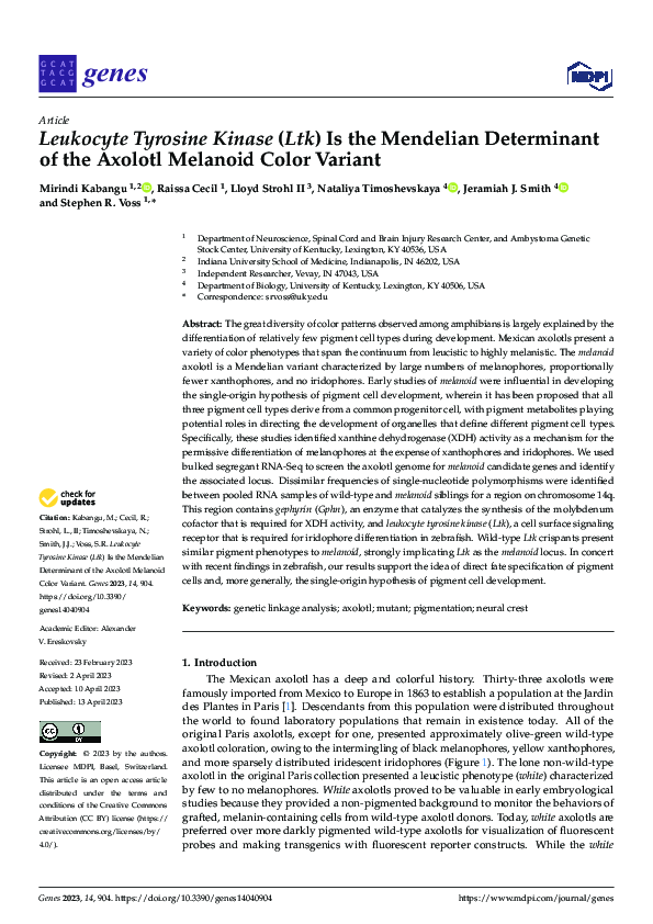 (PDF) Leukocyte Tyrosine Kinase (Ltk) Is the Mendelian Determinant of the Axolotl Melanoid Color ...