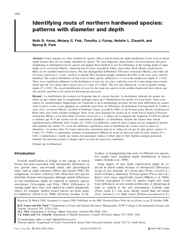 (PDF) Root Depth Patterns in Northern Hardwoods