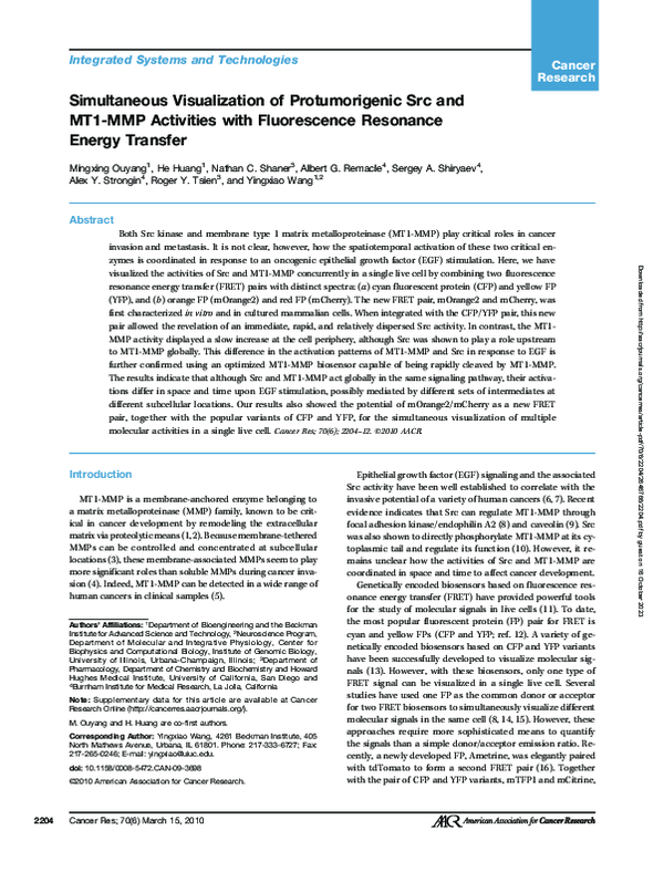 (PDF) Simultaneous Visualization of Protumorigenic Src and MT1-MMP Activities with Fluorescence ...