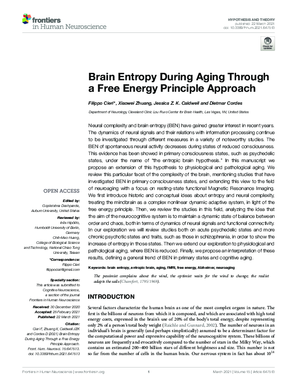 (PDF) Brain Entropy During Aging Through a Free Energy Principle Approach