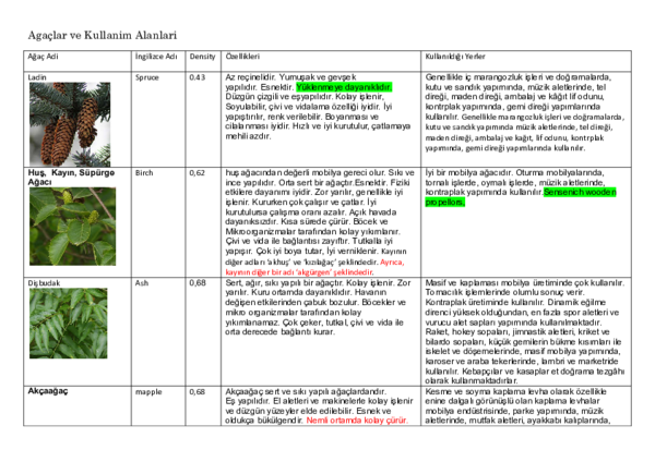 (PDF) Agaçlar ve Kullanim Alanlari