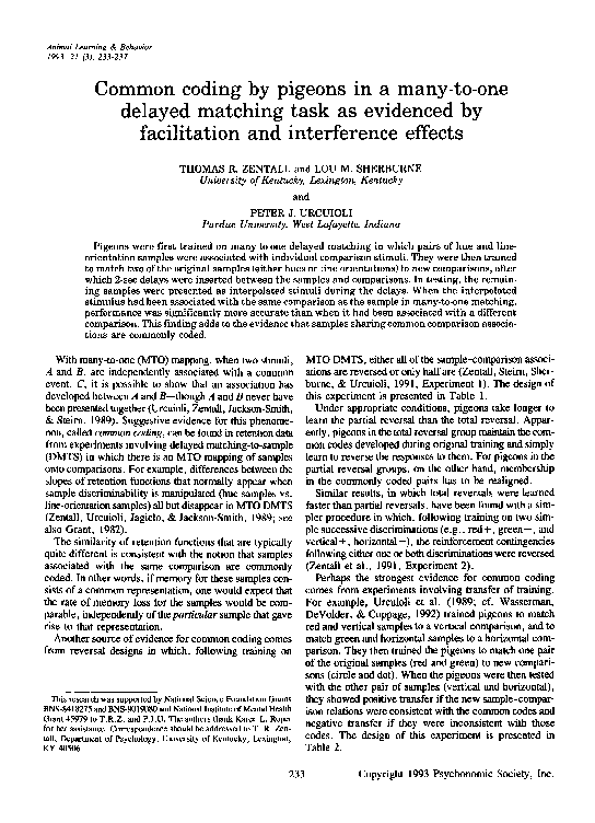(PDF) Common coding by pigeons in a many-to-one delayed matching task ...