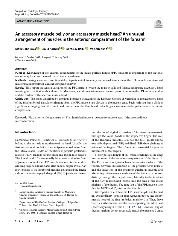 (PDF) An accessory muscle belly or an accessory muscle head? An unusual ...