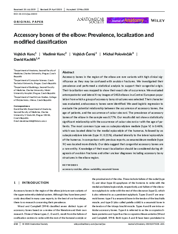 (PDF) Accessory bones of the elbow: Prevalence, localization and ...