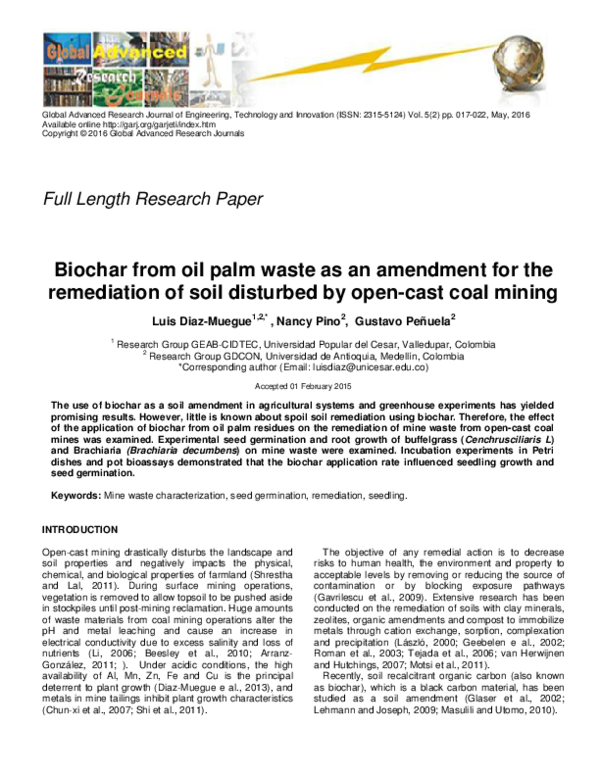 (PDF) Biochar from oil palm waste as an amendment for the remediation ...
