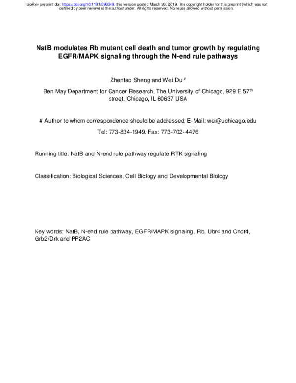 (PDF) NatB modulates Rb mutant cell death and tumor growth by ...