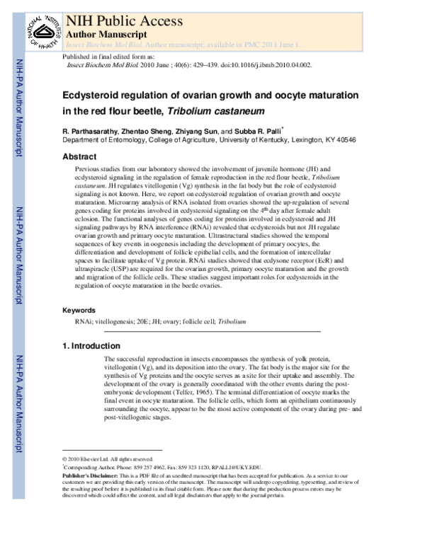(PDF) Ecdysteroid regulation of ovarian growth and oocyte maturation in ...
