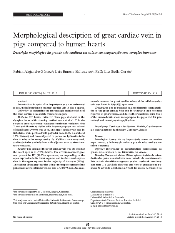 (PDF) Morphologic description of great cardiac vein in pigs compared to ...