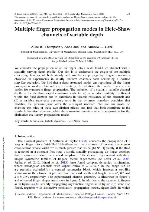 (PDF) Multiple finger propagation modes in Hele-Shaw channels of ...