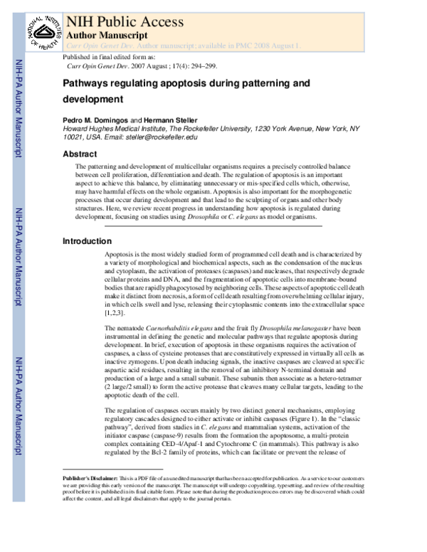 (PDF) Pathways regulating apoptosis during patterning and development | Hermann Steller ...