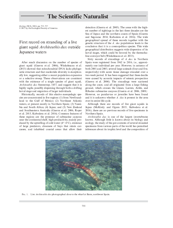 (PDF) First record on stranding of a live giant squid Architeuthis dux outside Japanese waters ...