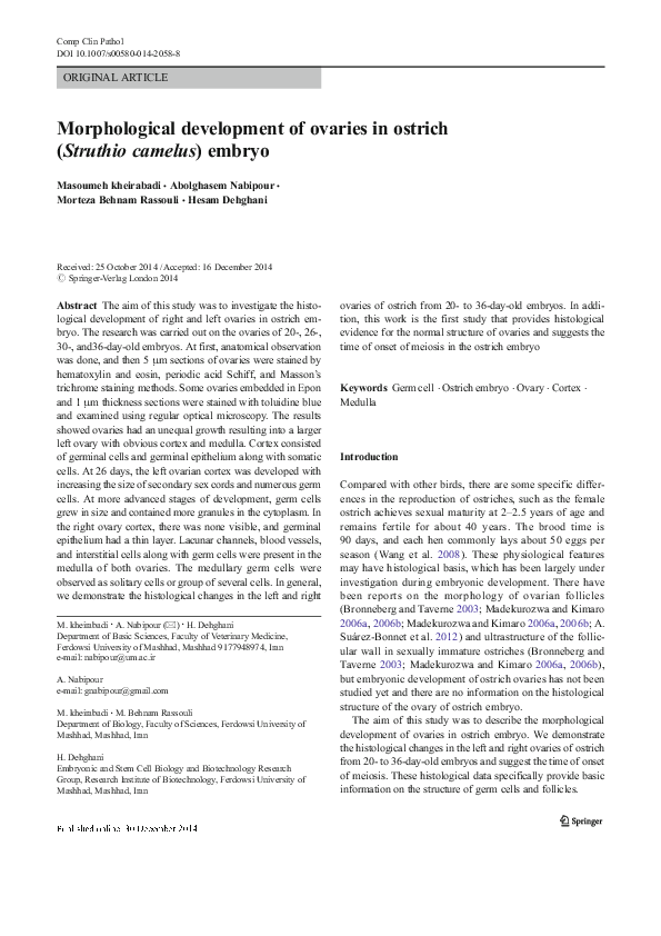 (PDF) Morphological development of ovaries in ostrich (Struthio camelus) embryo