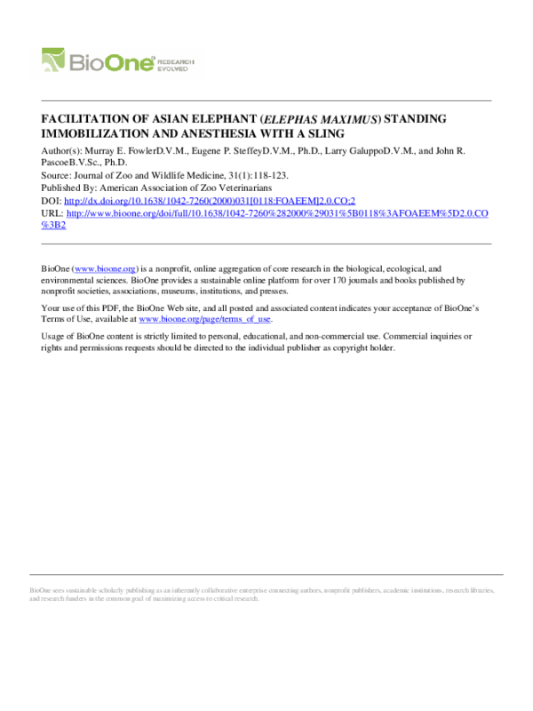 (PDF) Facilitation of Asian Elephant (Elephas Maximus) Standing ...