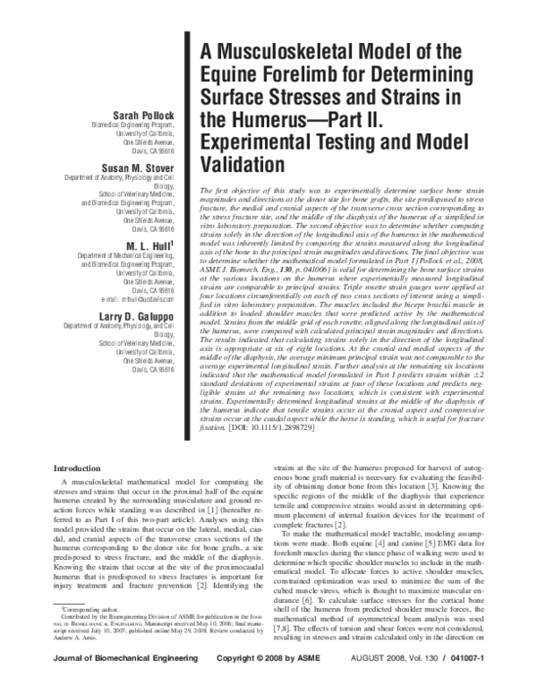 (PDF) A Musculoskeletal Model of the Equine Forelimb for Determining ...