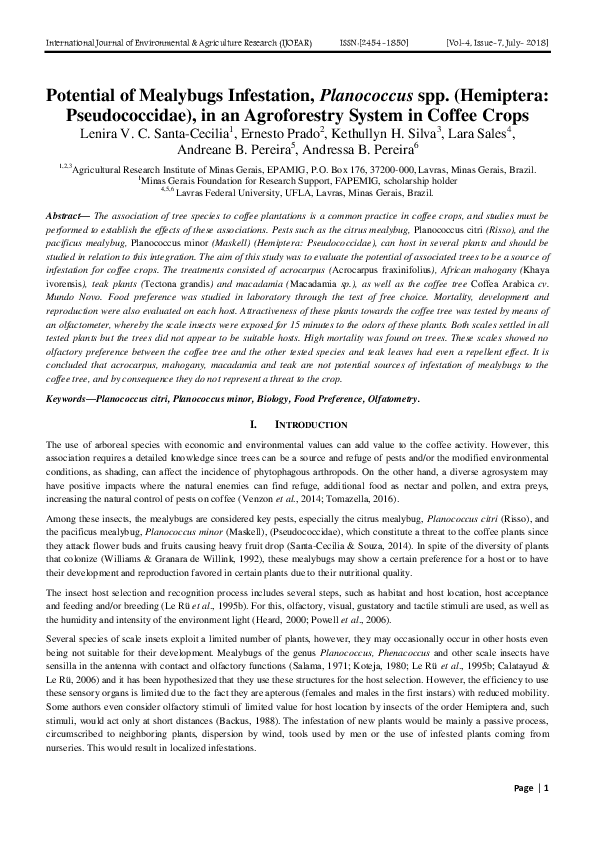 (PDF) Potential Of Mealybugs Infestation, Planococcus Spp. (Hemiptera ...