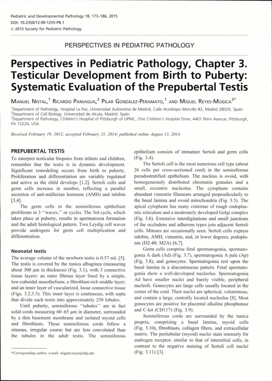 (PDF) Perspectives in Pediatric Pathology, Chapter 3. Testicular ...