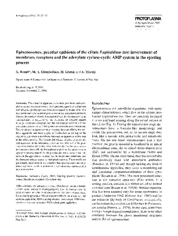 (PDF) Epixenosomes: peculiar epibionts of the ciliate Euplotidium itoi ...