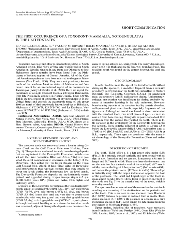 (PDF) The first occurrence of a toxodont (Mammalia, Notoungulata) in ...