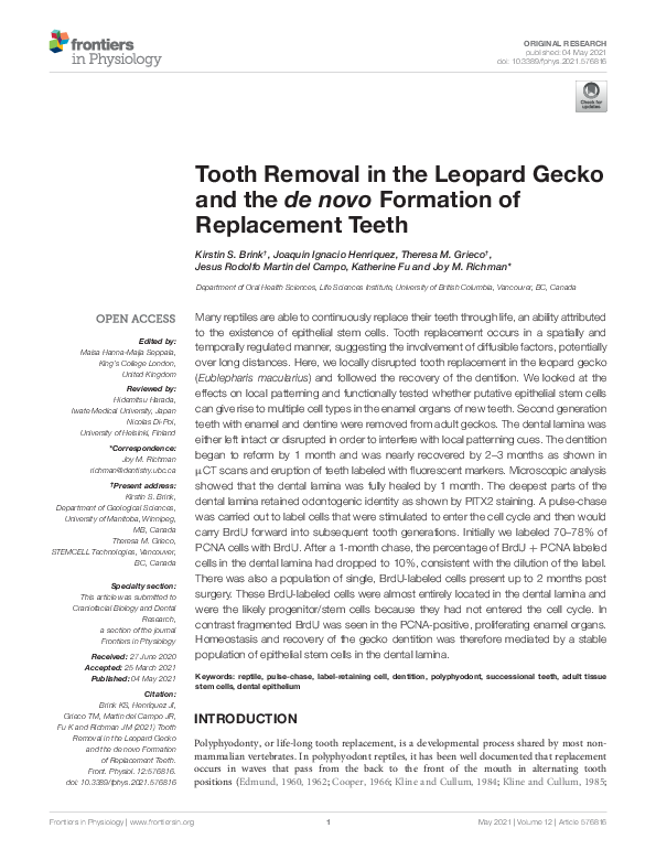 (PDF) Tooth Removal in the Leopard Gecko and the de novo Formation of ...