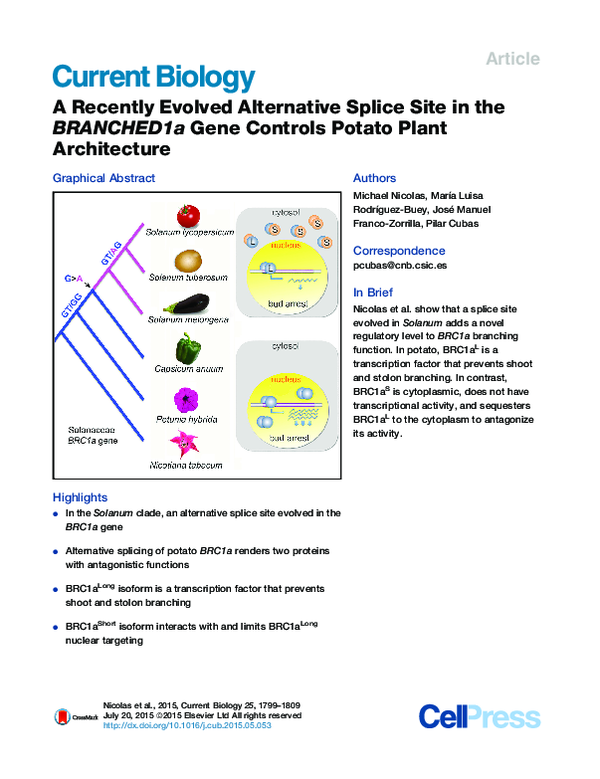 (PDF) A Recently Evolved Alternative Splice Site in the BRANCHED1a Gene ...