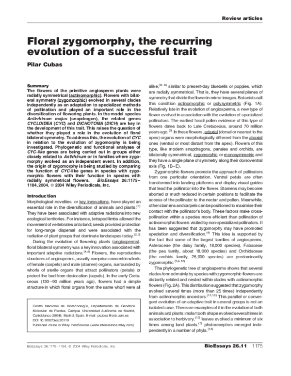 (PDF) Floral zygomorphy, the recurring evolution of a successful trait
